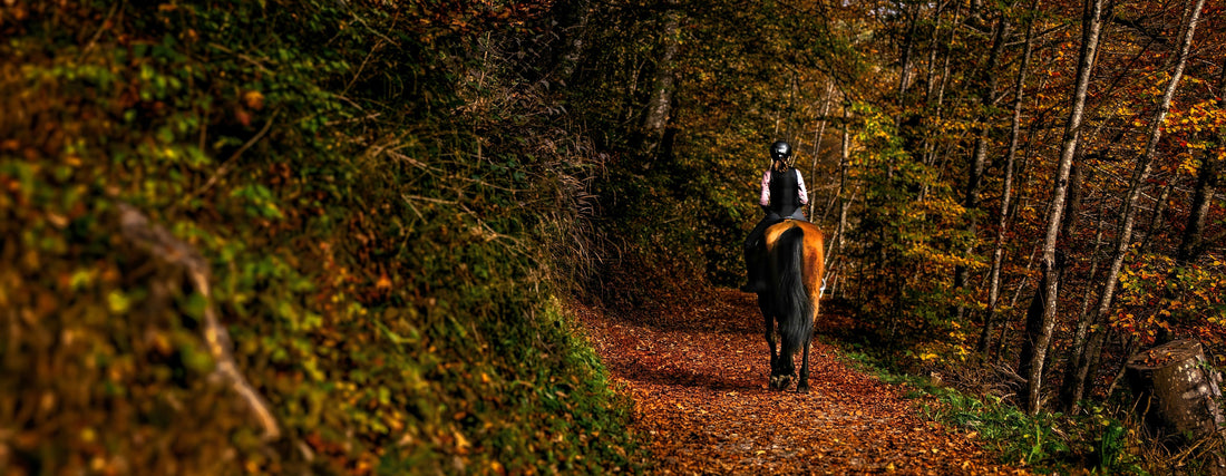VIP Equestrian