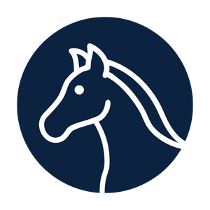 VIP Equestrian | Equestrian Products & VIP Saddle Pad