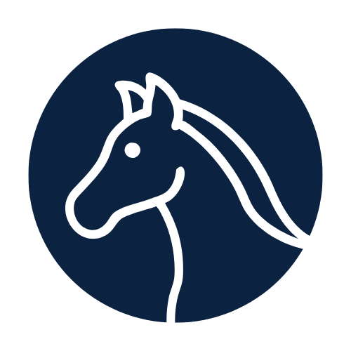 VIP Equestrian | Equestrian Products & VIP Saddle Pad
